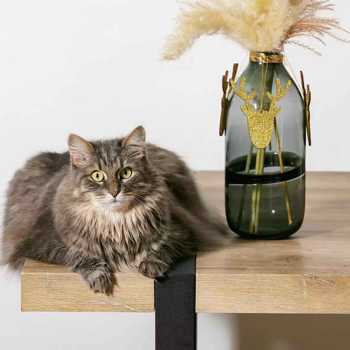 2026 Best Pet-Friendly Bar Tables for Homes with Furry Friends – Homebaa